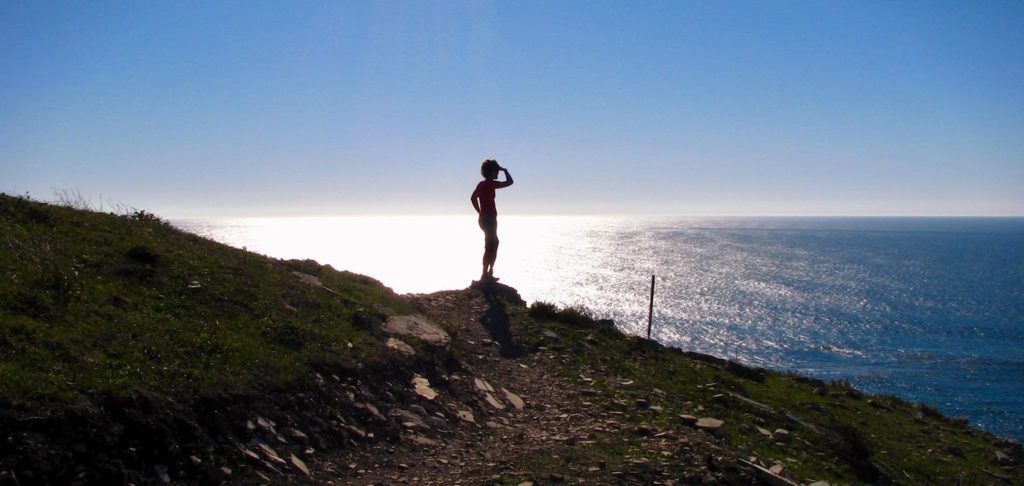 Treebones Resort, Located in Big Sur California
