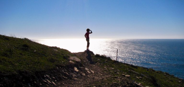 Treebones Resort, Located in Big Sur California