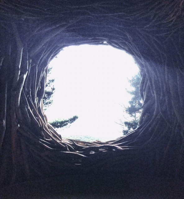 Campsite with Human Nest or The Twig Hut - Treebones Resort