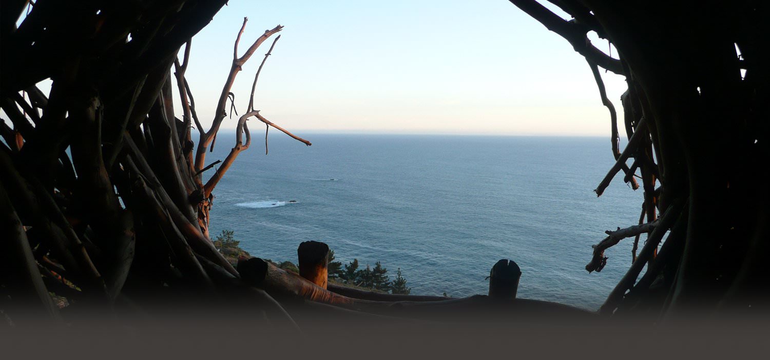 Homepage - Treebones Resort