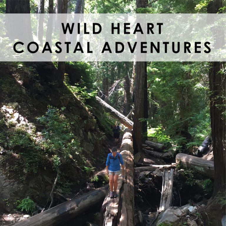 Our Story At Treebones - Treebones Resort