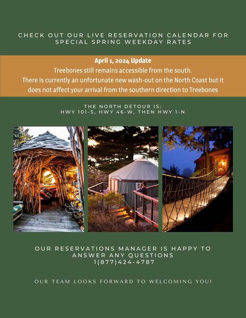 Treebones Resort, Located In Big Sur California