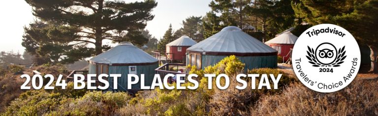 Treebones Resort, Located In Big Sur California