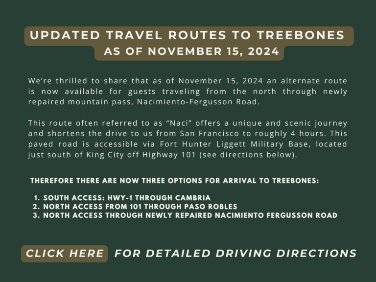 Treebones Resort, Located In Big Sur California