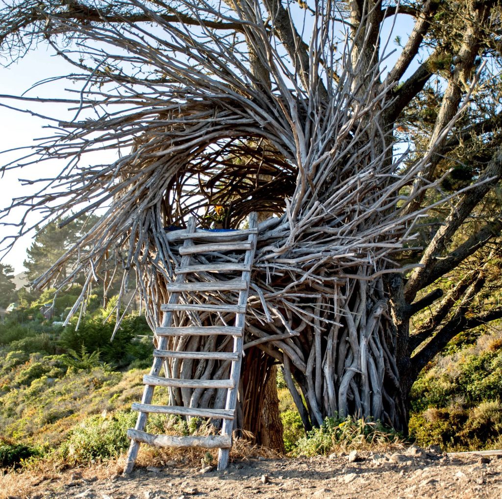 Twigitecture: Building Human Nests - Treebones Resort